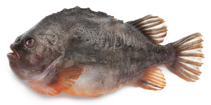 Hör stenbitsrom verkligen hemma på WWF:s röda lista? | Njord